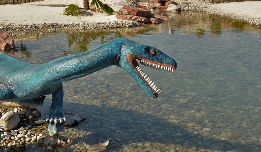 Triassic Park (Райт-им-Винкль, Германия) - авторский обзор, часы работы ...